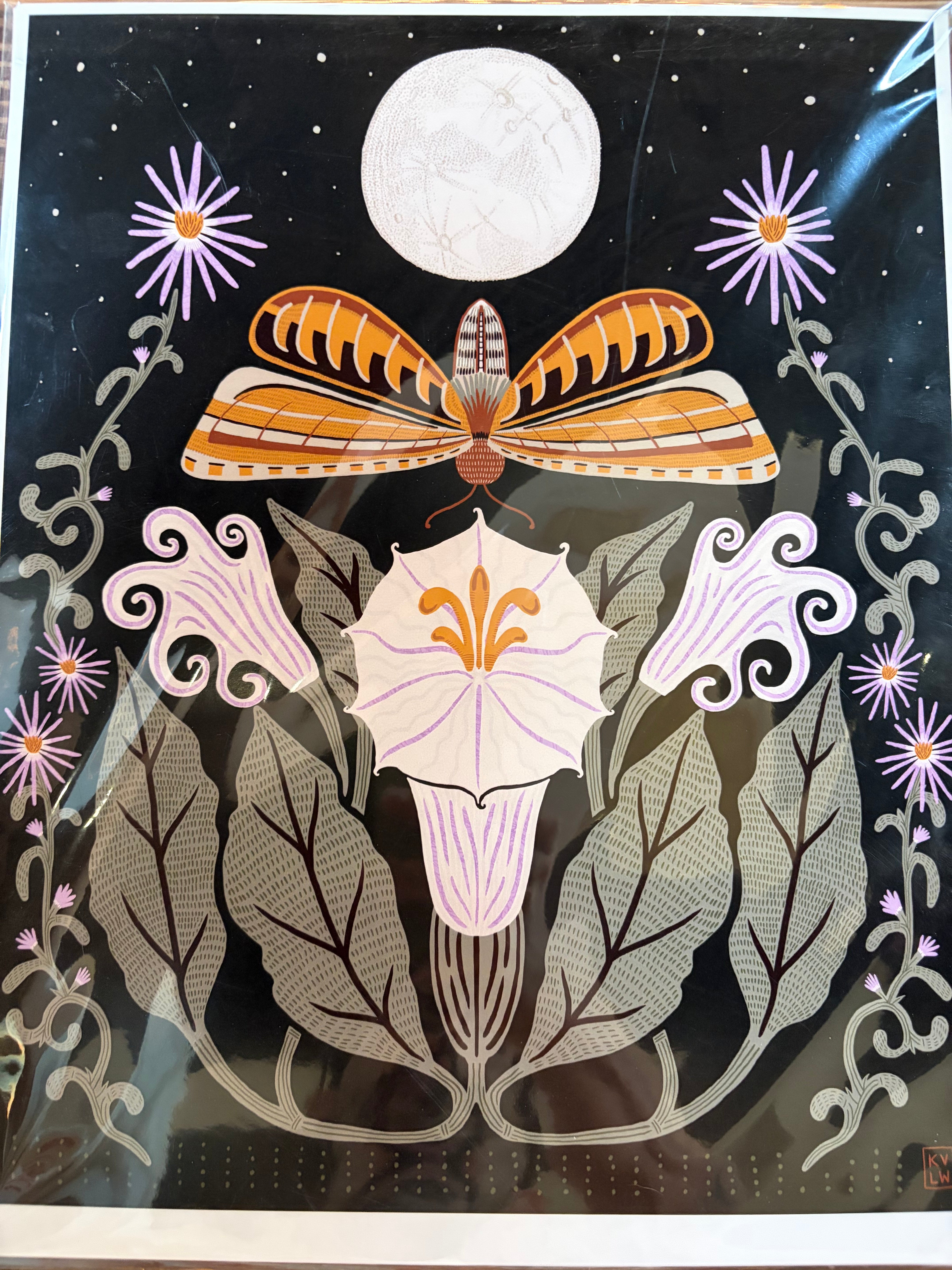 Seed Pod Design - 11x14 - Standard Print - Cyclical – Flyby Provisions